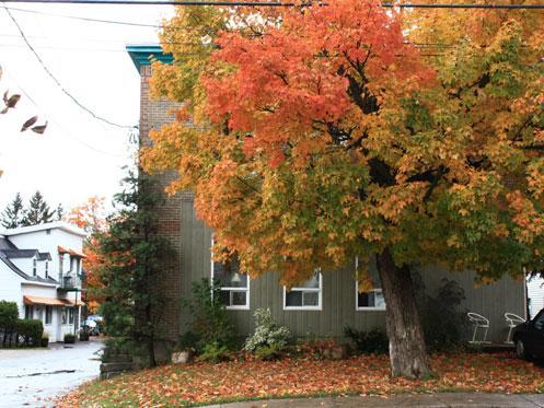 70, rue Principale - Répertoire du patrimoine culturel du Québec