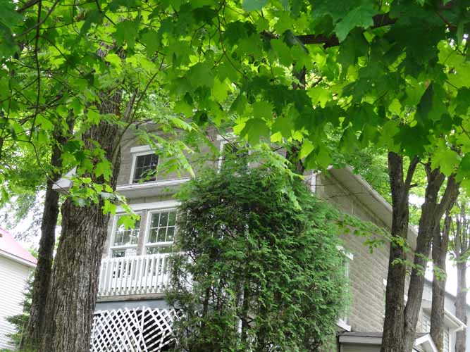 15, rue des Pins - Répertoire du patrimoine culturel du Québec